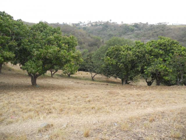 Houses For Sale in Waterloo - MyRoof.co.za