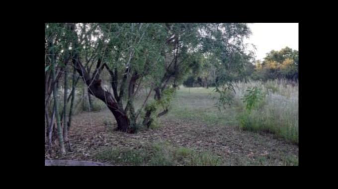 Farm for Sale For Sale in Kameeldrift - MR560508 - MyRoof