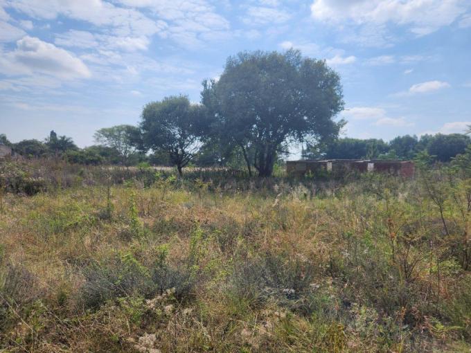Smallholding for Sale For Sale in Kameeldrift - MR638816 - M
