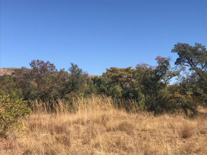 Farm for Sale For Sale in Modderfontein - MR676063 - MyRoof