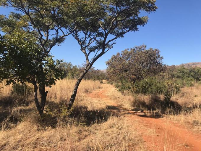 Farm for Sale For Sale in Modderfontein - MR676063 - MyRoof