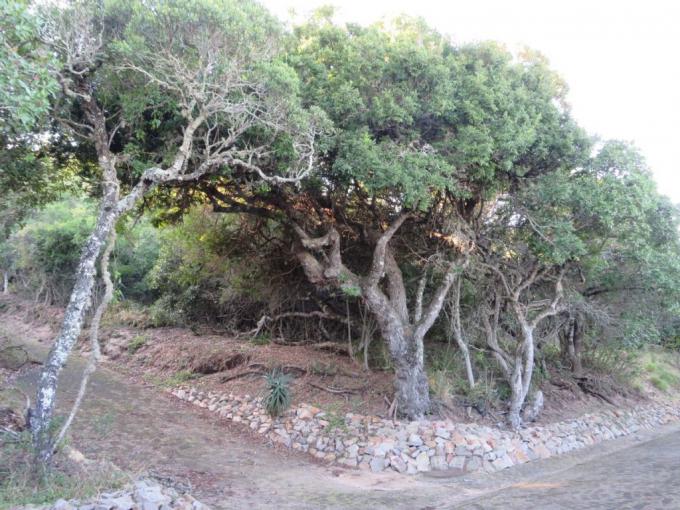 Property and Houses For Sale in Port Alfred, Eastern Cape - MyRoof.co.za