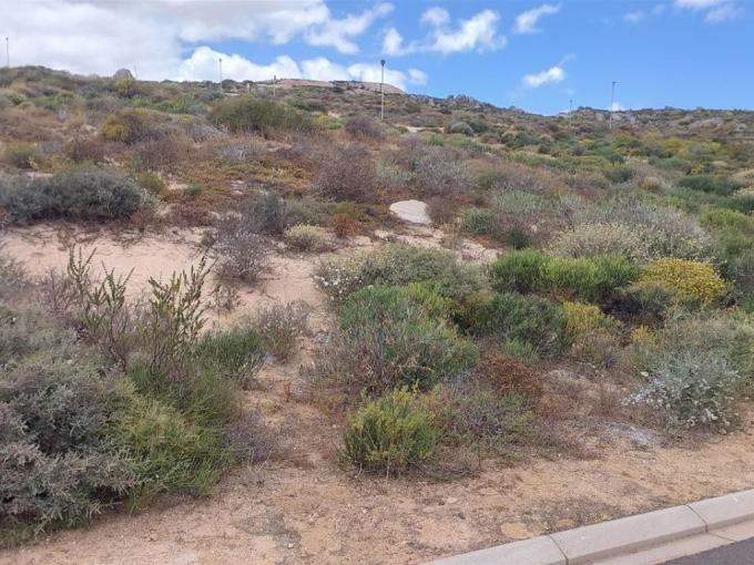 Houses For Sale in Capetown - Southern Suburbs - MyRoof.co.za
